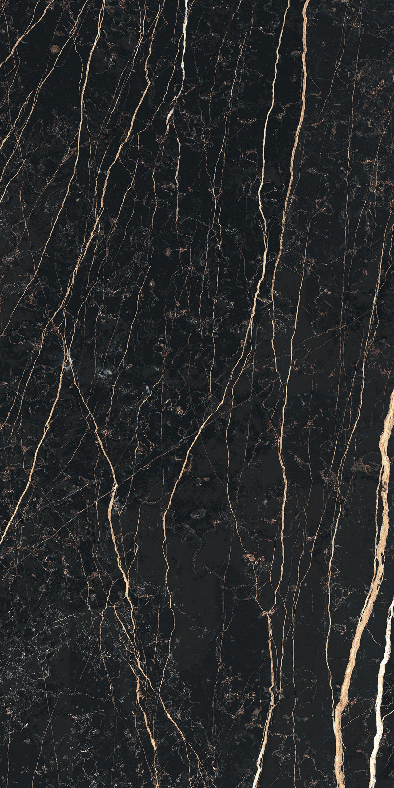 Noir D'Or - Natural is a black Italian porcelain tile.