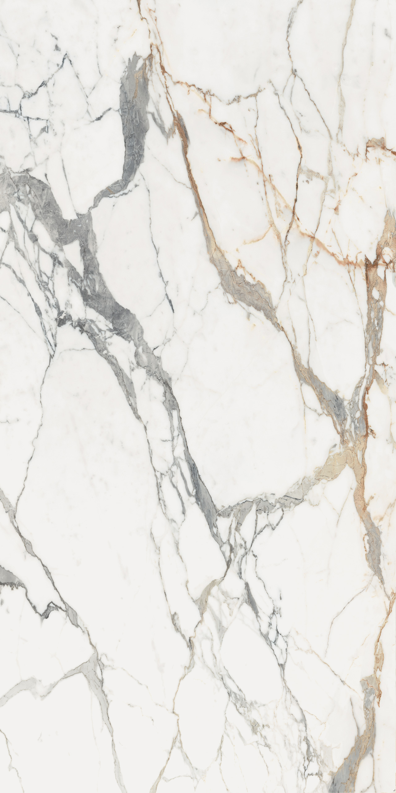 Calacatta Dorato – Natural – Porcelain Tiles