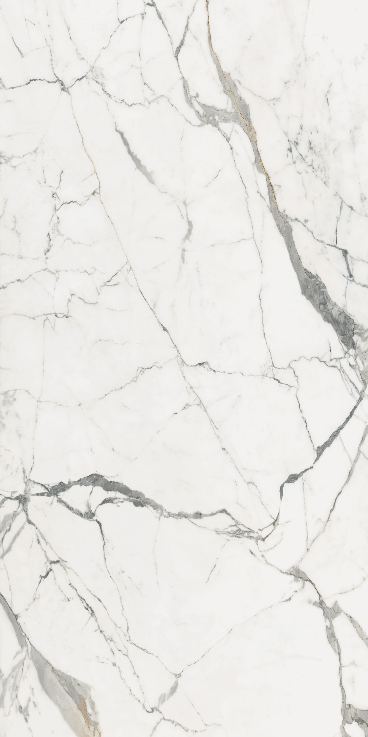 Calacatta Dorato – Polished – Porcelain Tiles
