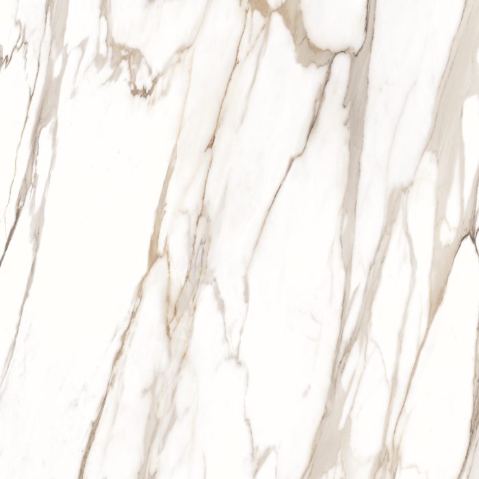 Calacatta Canova - Polished is a white Italian porcelain tile.