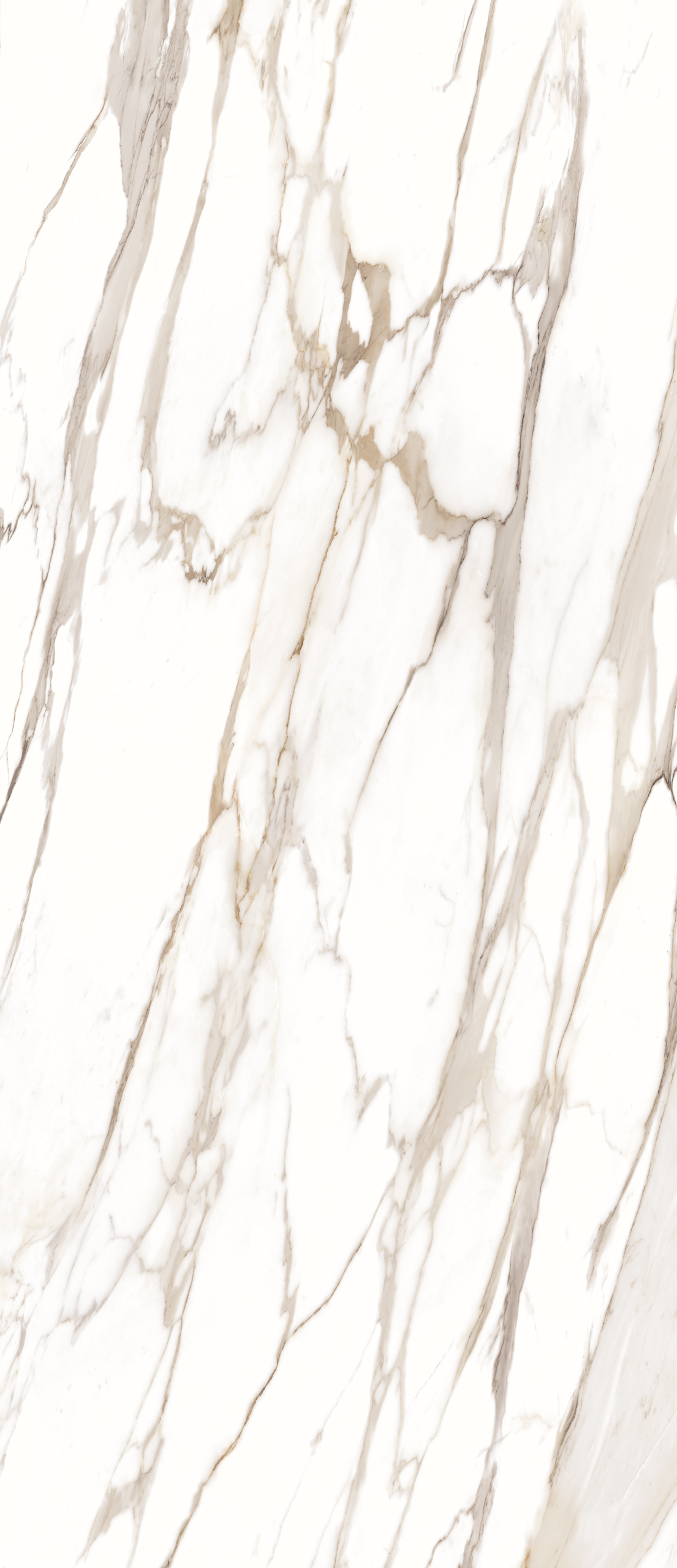 Calacatta Canova - Polished is a white Italian porcelain tile.