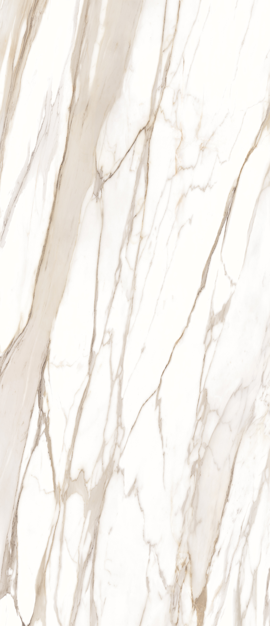 Calacatta Canova - Polished is a white Italian porcelain tile.