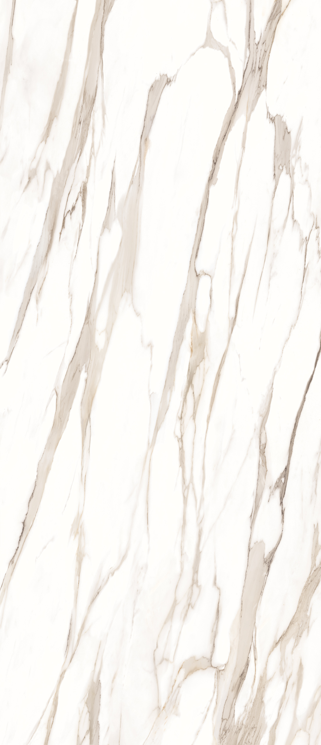 Calacatta Canova - Polished is a white Italian porcelain tile.
