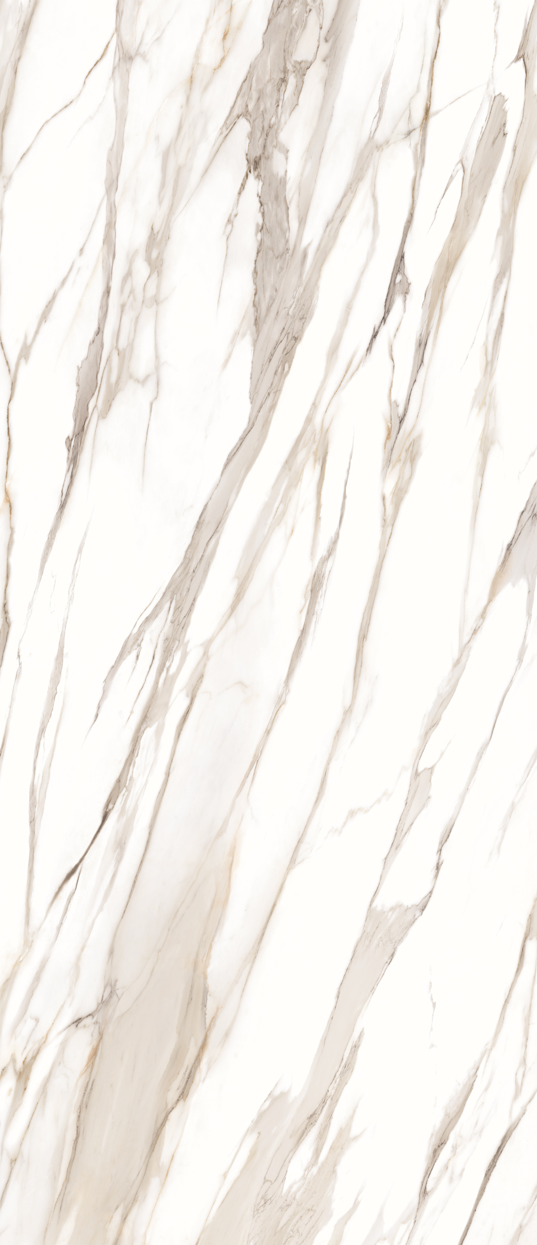 Calacatta Canova - Polished is a white Italian porcelain tile.