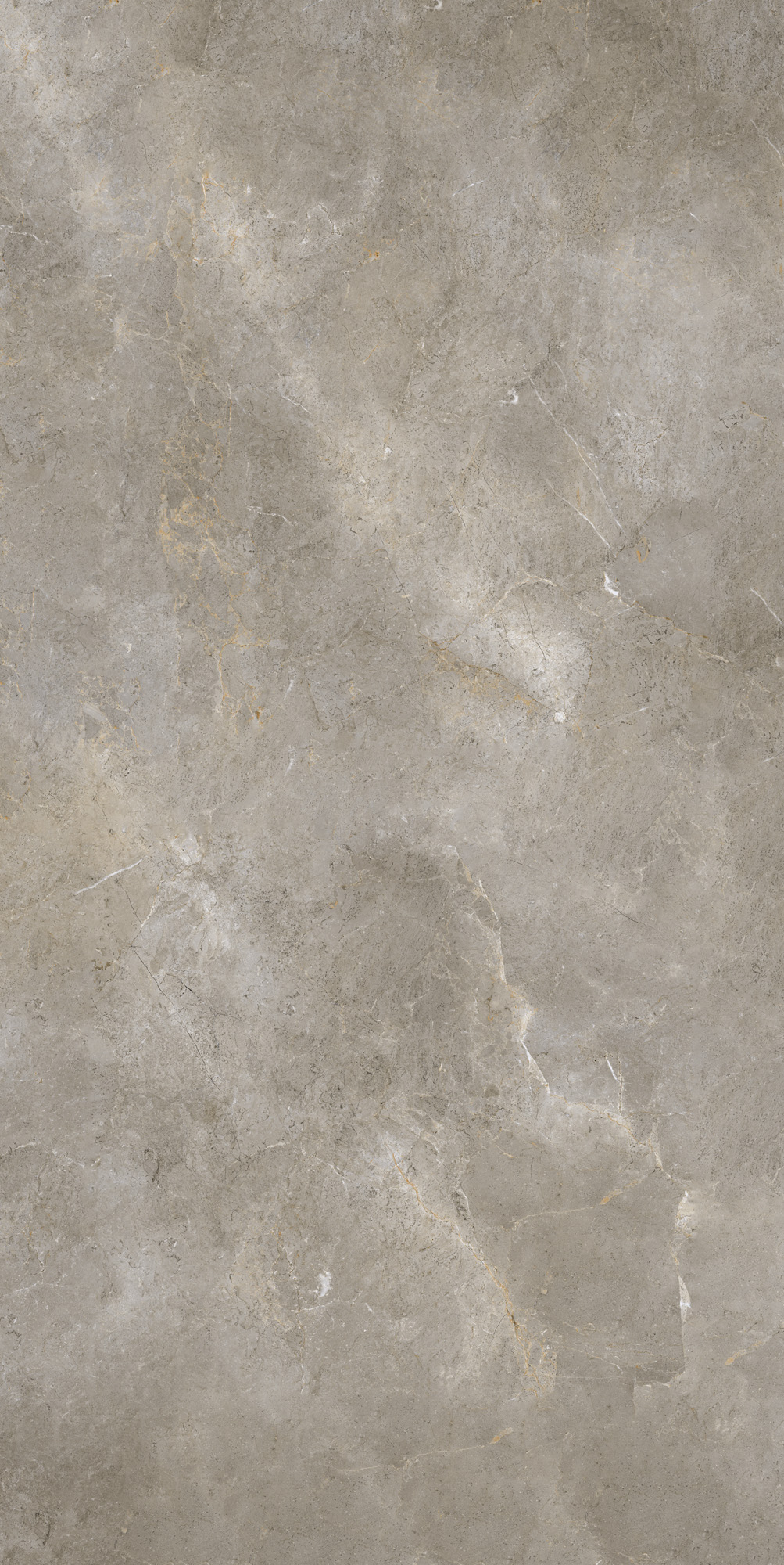 Palladium Grey - Natural is a grey Italian porcelain tile.
