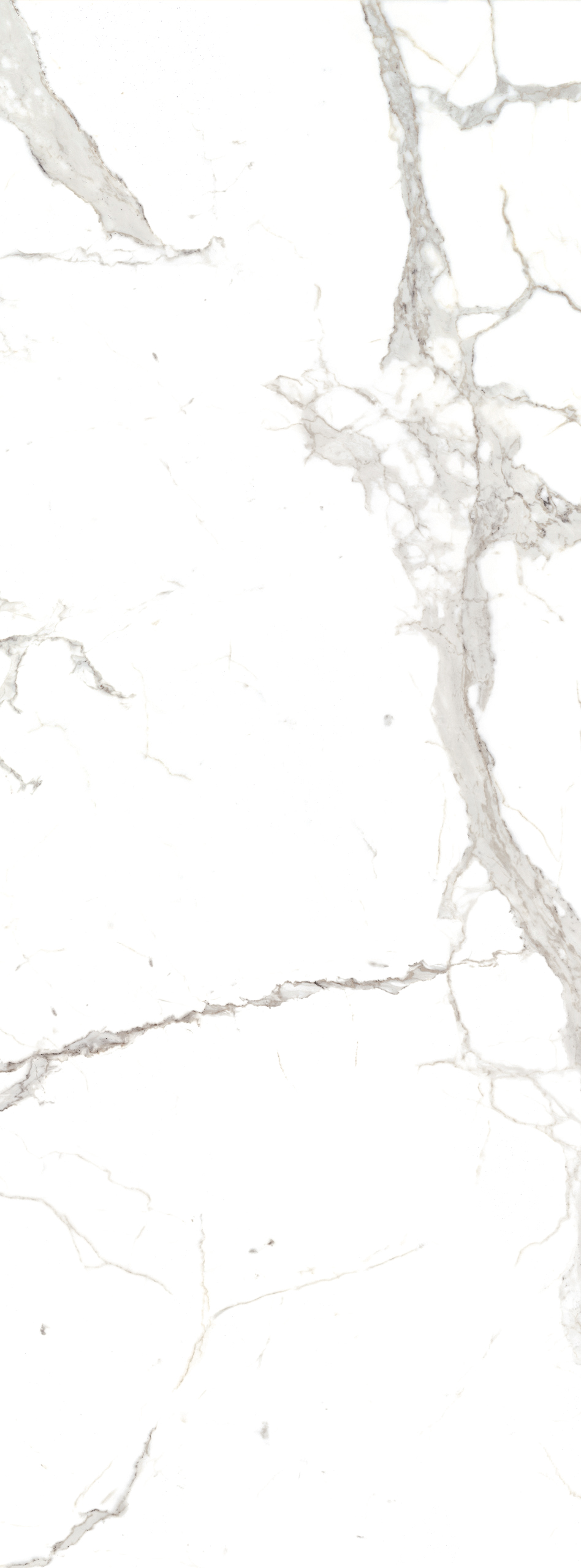 Calacatta - Natural is a white Italian porcelain tile.