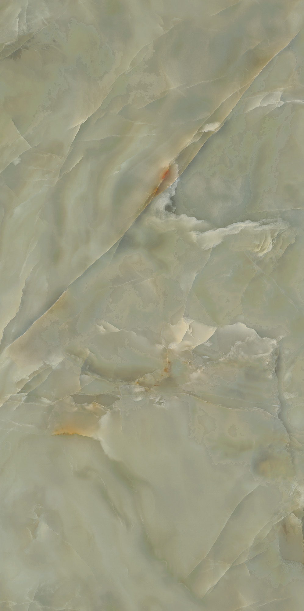 Persian Green - Polished is a coloured Italian porcelain tile.